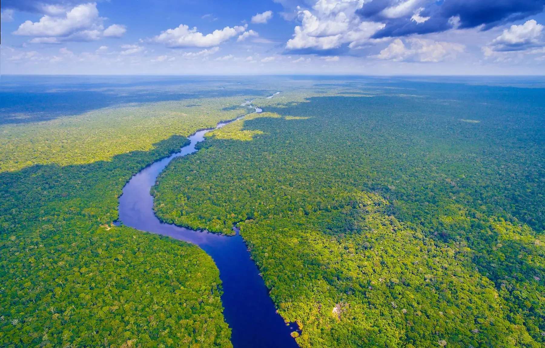 Rio Amazonas: descubra por que ele é o maior e mais importante do mundo ...